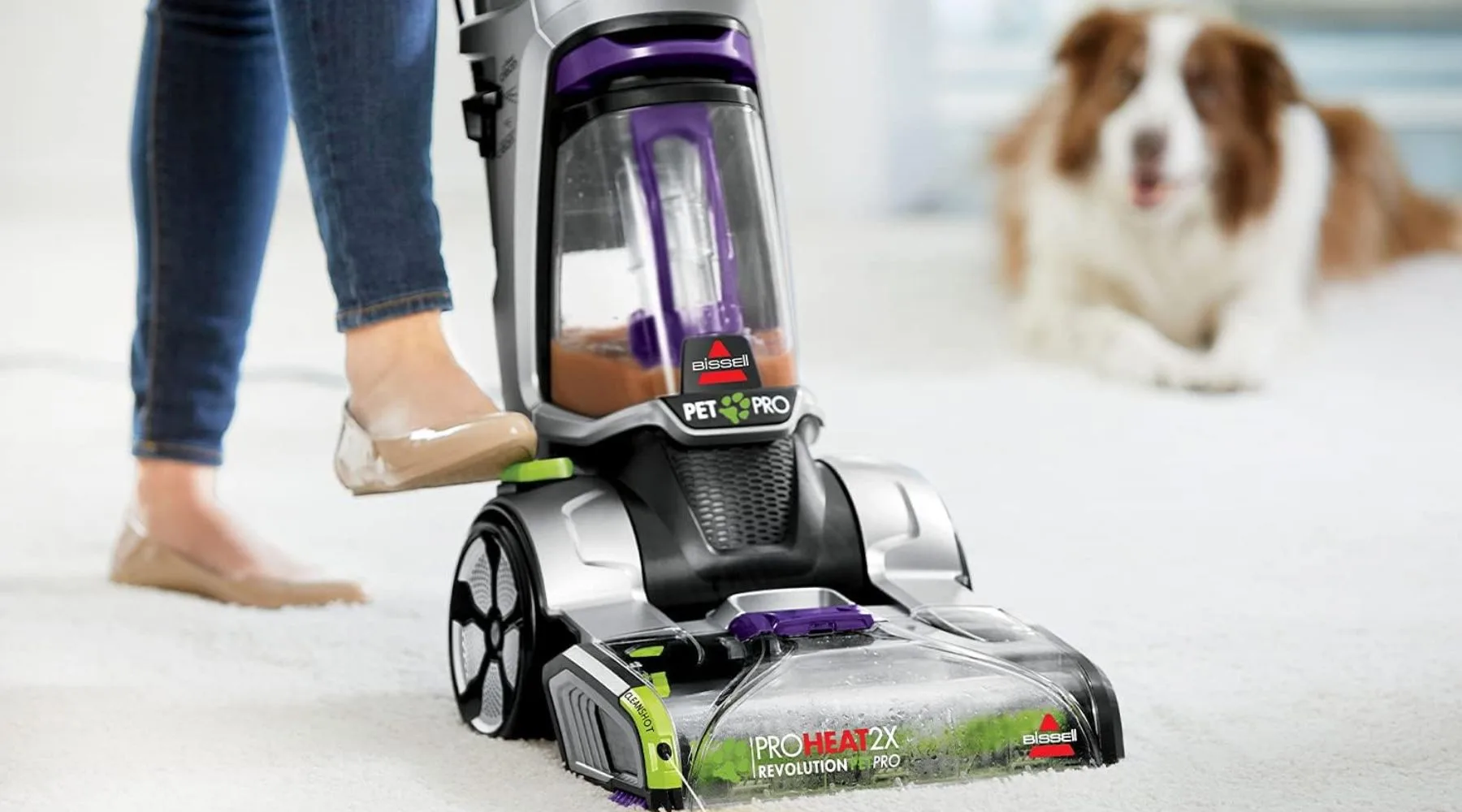 10 best carpet cleaners in Australia 2025: From $249 | Finder Shopping