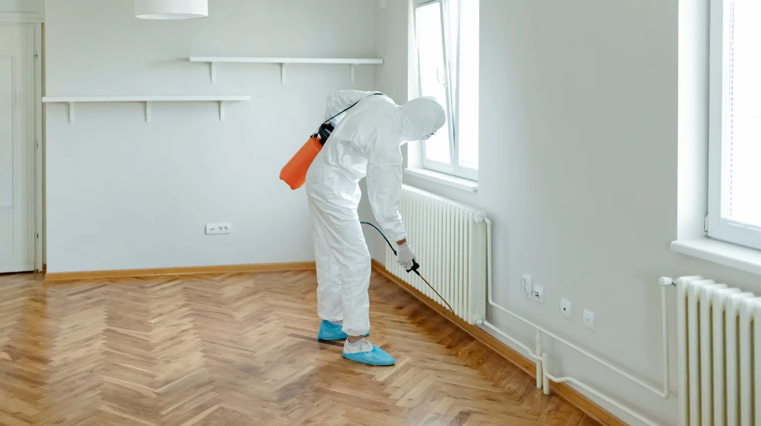 Best pest control products buying guide | Finder